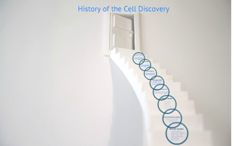 Timeline of the microscope by tanner lesh
