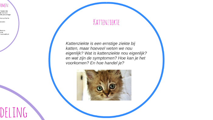 Kattenziekte by anouk leijtens