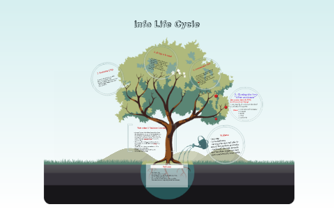 Info Life Cycle by Sherif Anis on Prezi