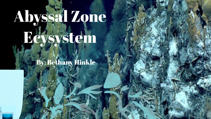 Exploring the Abyssal Zone Ecosystem by Kitten Universe on Prezi