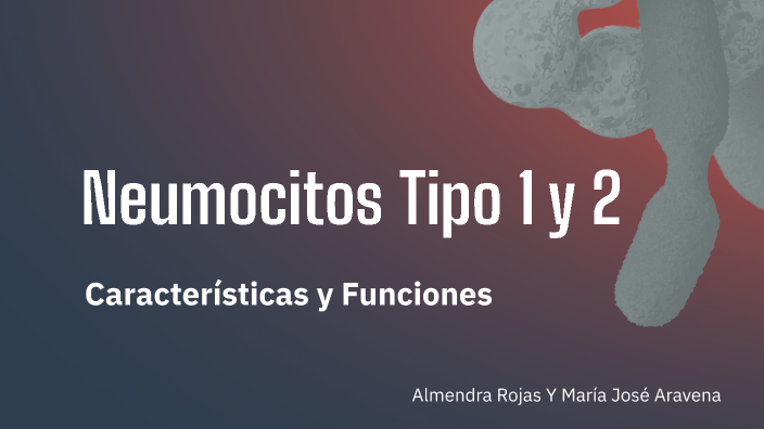 Neumocitos Tipo 1 y 2 by Alme Beleen on Prezi