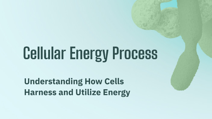 Cellular Energy Process by Peta-Gaye Manuel on Prezi