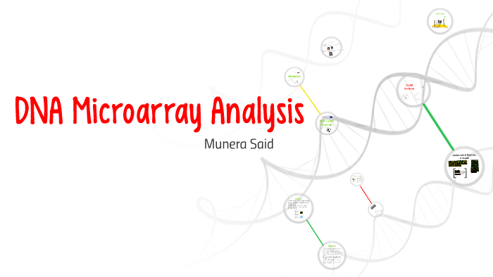DNA Microarray and cancer by maymun SAID on Prezi