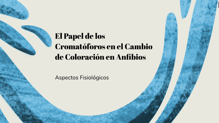 El Papel de los Cromatóforos en el Cambio de Coloración en Anfibios by ...