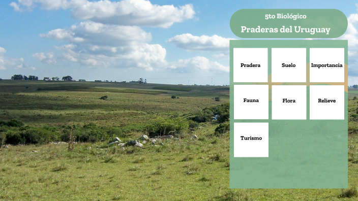 Biologia pradera by Felipe Justet on Prezi