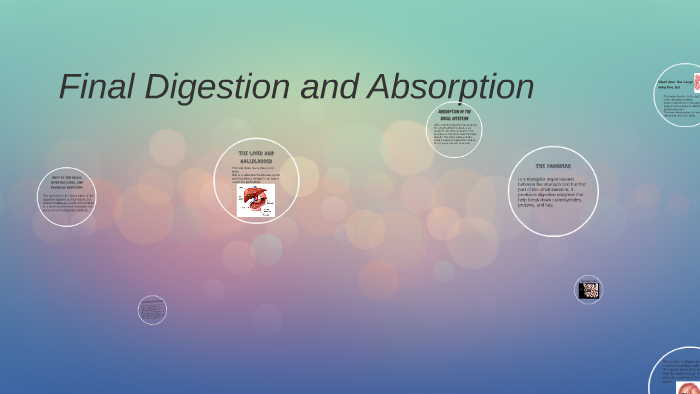 Final Digestion and Absorption by Grecia Garcia on Prezi