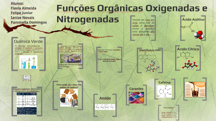 Funções Orgânicas Oxigenadas e Nitrogenadas by Ianize Novais on Prezi