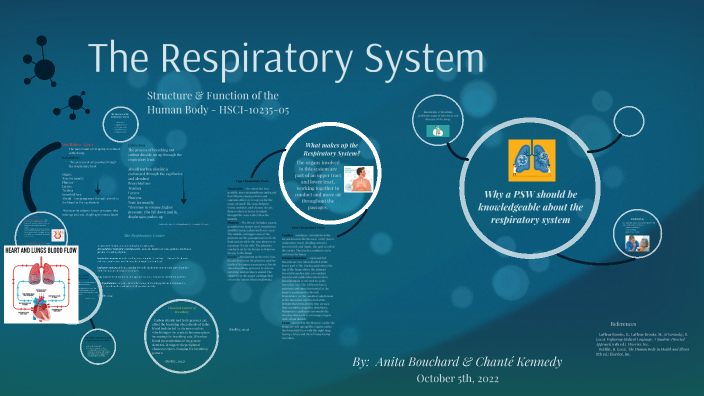 The Respiratory System by Chante Kennedy-Rowe on Prezi