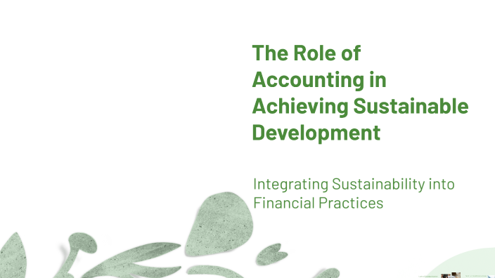 The Role of Accounting in Achieving Sustainable Development by Skye Lu ...