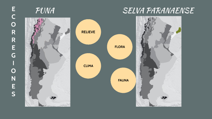 Ecorregiones: PUNA Y SELVA PARANAENSE by Noe Aguirre on Prezi