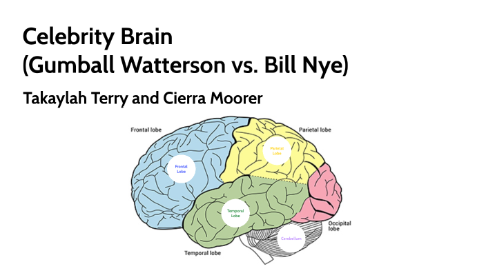 Celebrity Brain by Takaylah Terry on Prezi