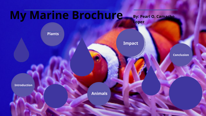 Ocean Brochure by Pearl Camacho Lopez on Prezi