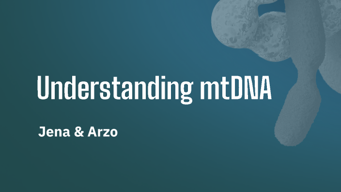 Understanding mtDNA by jena jang on Prezi