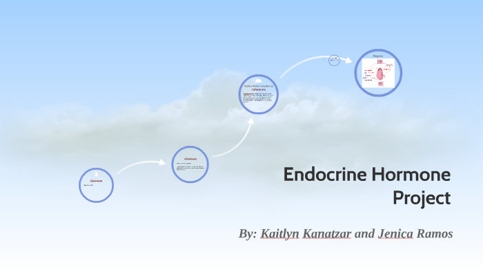 Endocrine Hormone Project by Kaitlyn Kanatzar on Prezi