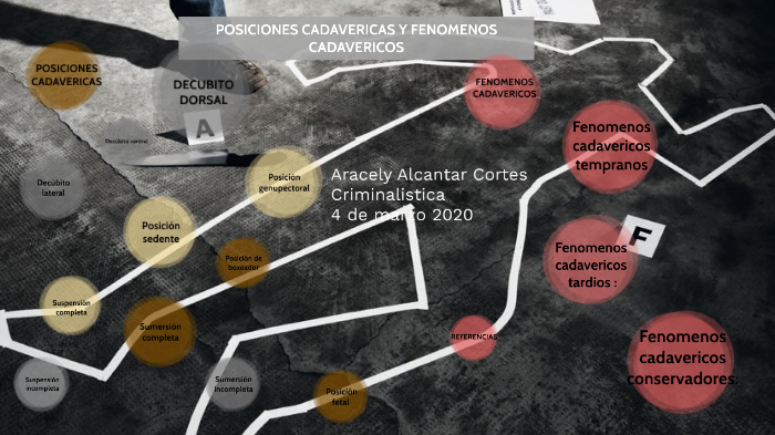 POSICIONES CADAVÉRICAS Y FASES CADAVÉRICAS by aracely alcantar cortes ...