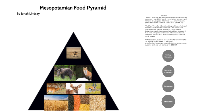 Food Pyramid by Jonah Lindsay on Prezi