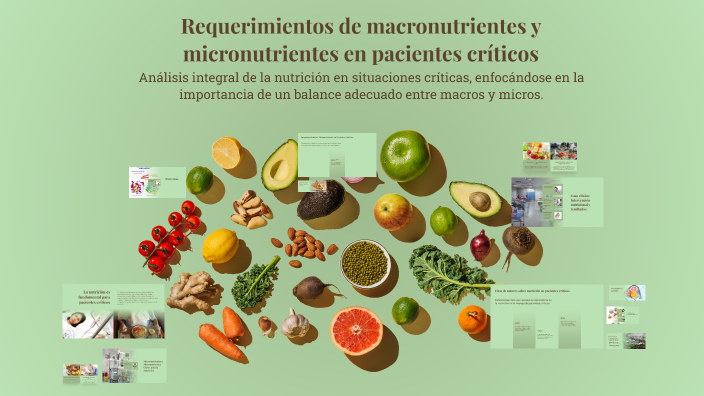 Requerimientos de macronutrientes y micronutrientes en pacientes ...