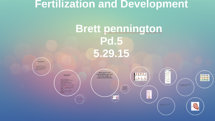 Fertilization and Development by Brett pennington on Prezi