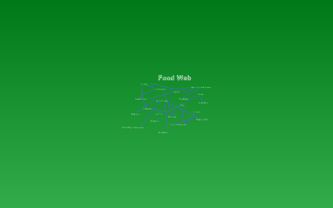 Chaparral Food Web by Kelly Du on Prezi