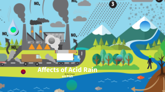 Acid Rain Project by isai cozar on Prezi