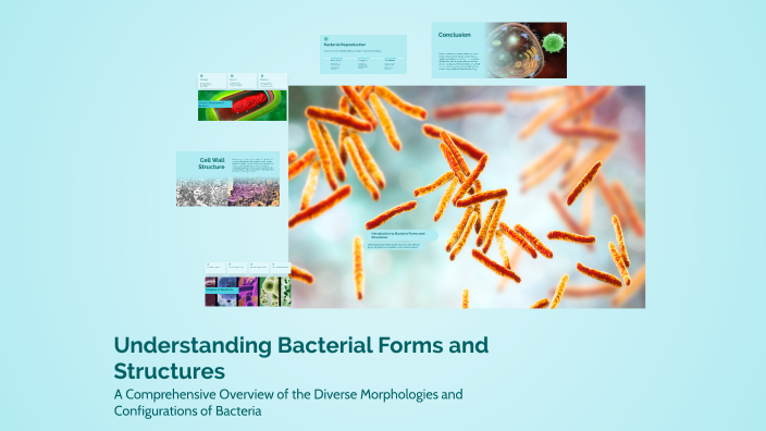 Understanding Bacterial Forms and Structures by Home Sweet on Prezi