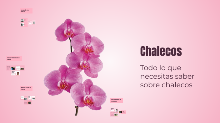 Chalecos by BRANDON ALFONSO SCHOONOVEFF MERCADO on Prezi