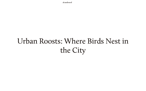 Urban Roosts: Where Birds Nest in the City by Michelle Richins on Prezi