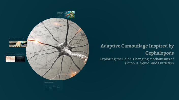 Adaptive Camouflage Inspired by Cephalopods by Abhinav on Prezi