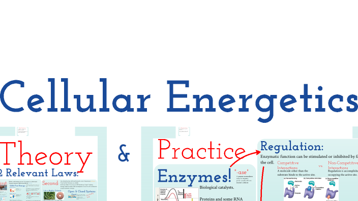 2024 AP Bio- Metabolism 1: Cellular Energetics by Joselyn Ponce on Prezi