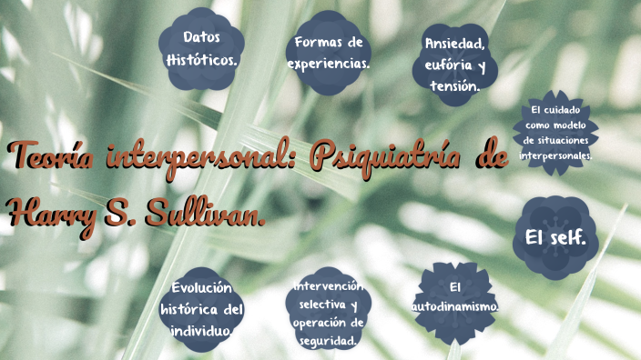 Teoría interpersonal: Psiquiatría de Harry S. Sullivan. by Adriana ...