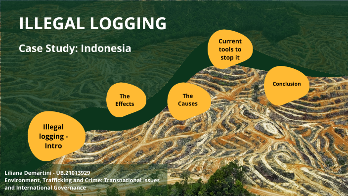 Illegal Logging - Indonesia by Liliana Demartini on Prezi