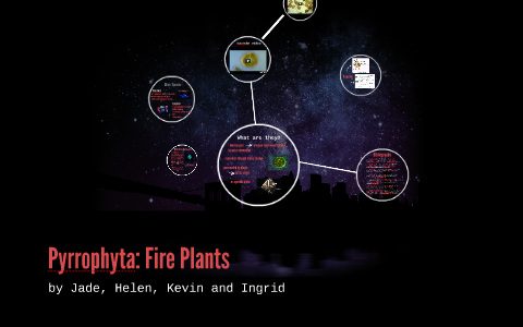 Pyrrophyta: Fire Plants by jade mooking on Prezi