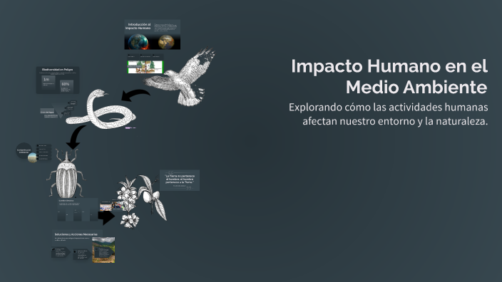 Impacto Humano en el Medio Ambiente by Lucio Tapia santiago on Prezi