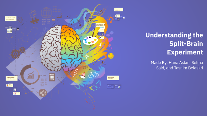 Understanding the Split-Brain Experiment by HANA KHALED on Prezi