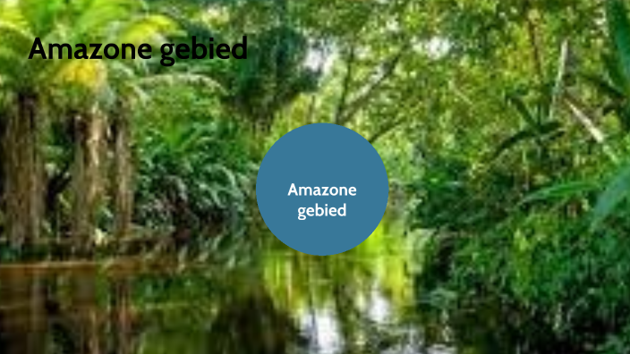 amazone gebied by m. bekker kader on Prezi