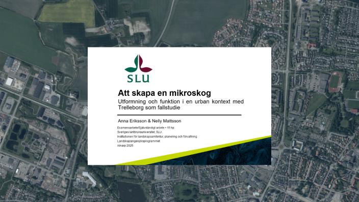 Syfte och Frågeställningar Vad är egentligen skillnaden mellan ...