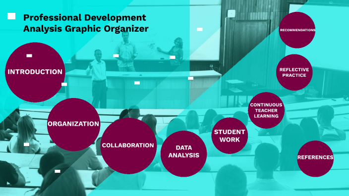 Professional Development Analysis Graphic Organizer by Doreen Franklin ...