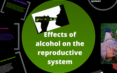 Effects of alcohol on the reproductive system by Austin Feathers