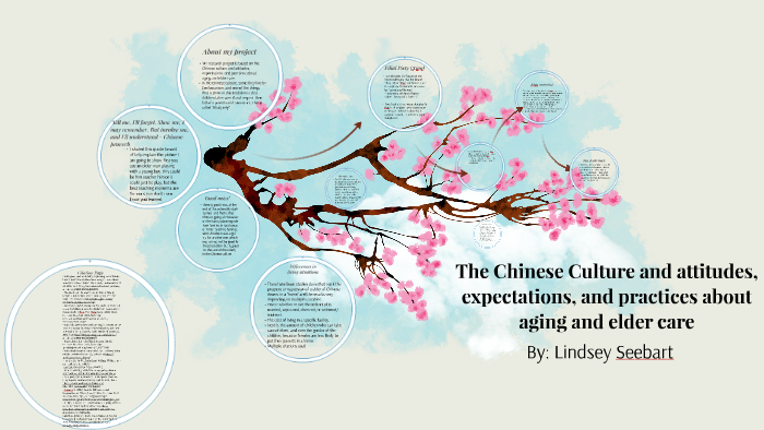 Chinese Culture: Attitudes, expectations, and practices abou by Lindsey ...