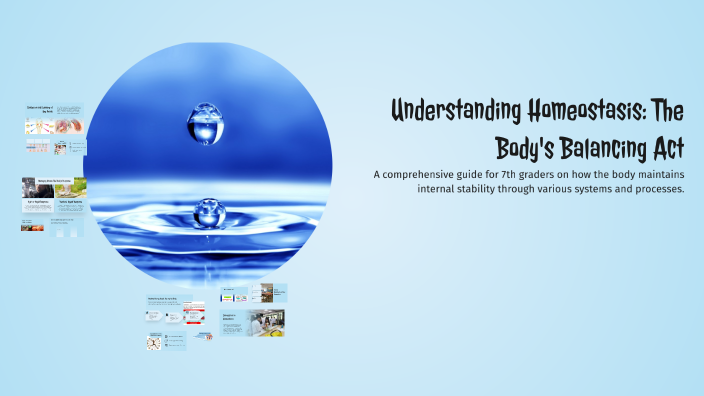 Understanding Homeostasis: The Body's Balancing Act by Douglas Gawne on ...