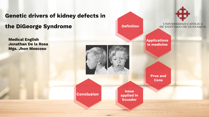 Genetic drivers of kidney defects in the DiGeorge Syndrome by Jonathan ...