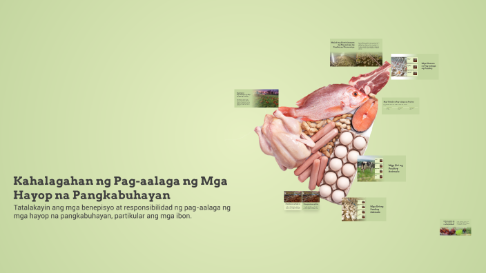 Kahalagahan ng Pag-aalaga ng Mga Hayop na Pangkabuhayan by algrace ...