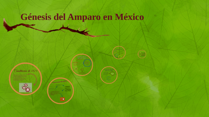 Genesis del Amparo en Mexico by Monserrat Jiménez Flores on Prezi