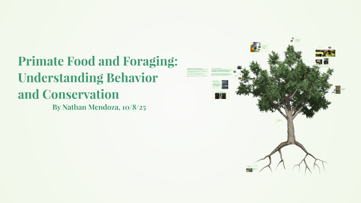 Primate Food and Foraging: Understanding Behavior and Conservation by ...