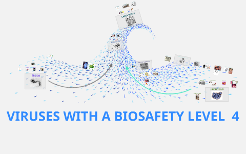 VIRUSES WITH A BIOSAFETY LEVEL 4 by emanuel moran on Prezi