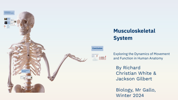 Science Musculoskeletal Project by Jackson Gilbert on Prezi