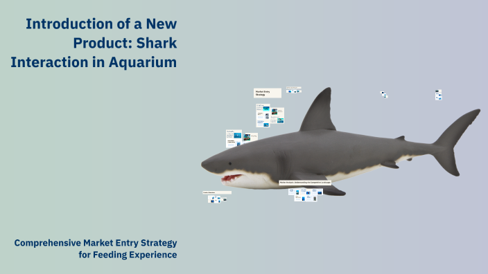 Introduction of a New Product: Shark Interaction in Aquarium by Carla ...