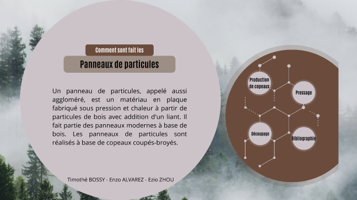 Particle board process flow chart by Timothé BOSSY on Prezi
