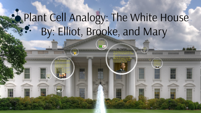 Plant Cell Analogy: The White House by Elliot Mullen on Prezi