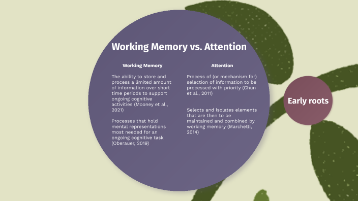 Attention And Working Memory By Katy Pasquariello On Prezi